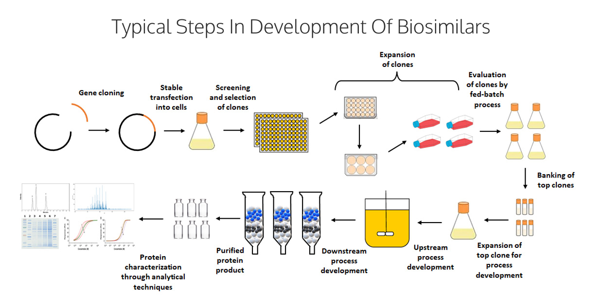 Biocognate Life Sciences | Biosimilar Product Development Solution
